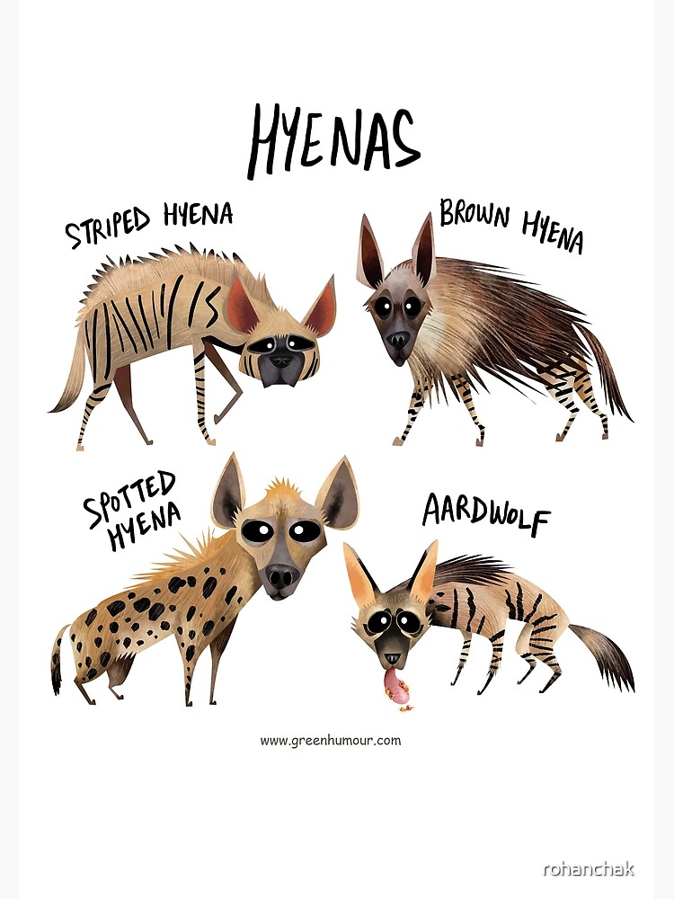 Know Your Hyenas Premium Matte Vertical Poster sold by DaviHudson | SKU ...