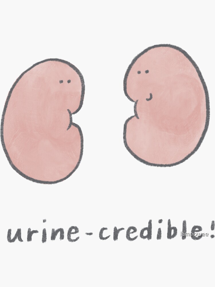 "Urine-credible! Cute Kidney Quote" Sticker for Sale by lameowee ...