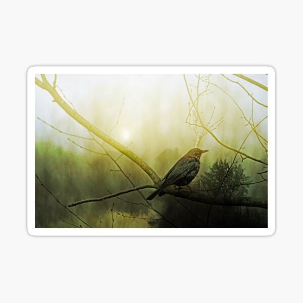 "The early bird" Sticker by Palatinasart | Redbubble