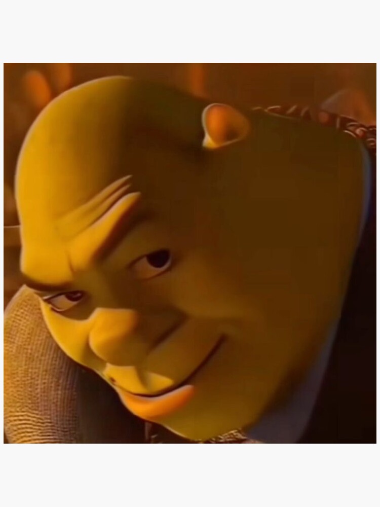 "Shrek smirking image" Sticker for Sale by booksandsundaes | Redbubble