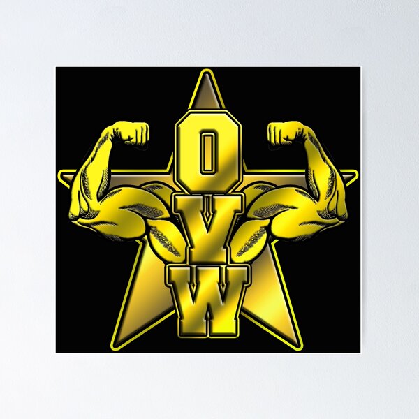 "Old OVW logo" Poster for Sale by IrishWhipMedia | Redbubble