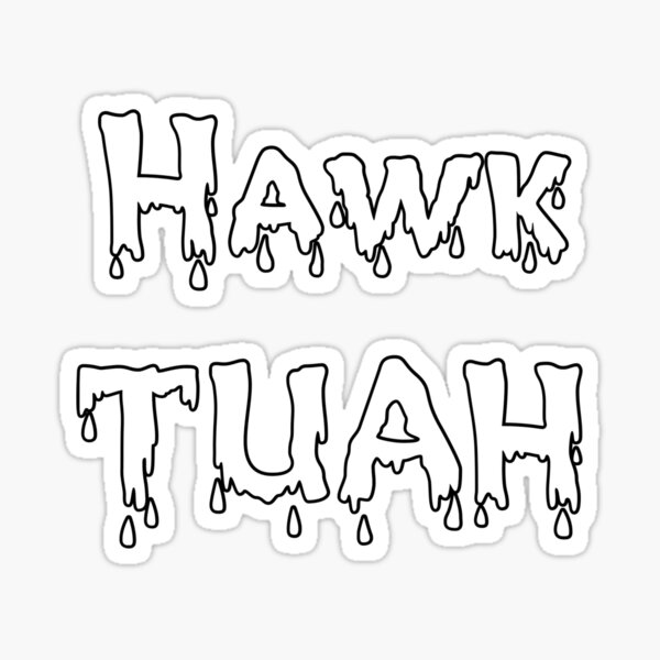 "Hawk Tuah" Sticker for Sale by Tylu253 | Redbubble