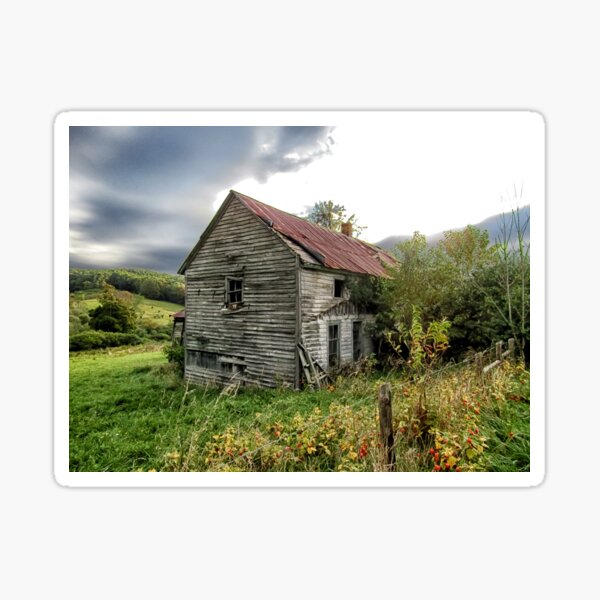 "Sunlight Leaning " Sticker for Sale by PaulLu | Redbubble