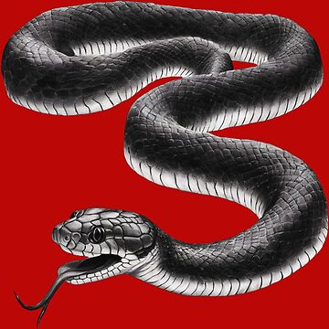 "Boa snake, constrictor, cobra" Sticker for Sale by MagelliShop | Redbubble