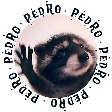 "Pedro Pedro Pedro the Racoon tiktok meme" Sticker for Sale by ...