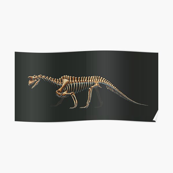"Shringasaurus Indicus Skeleton Study (No Labels)" Poster for Sale by ...