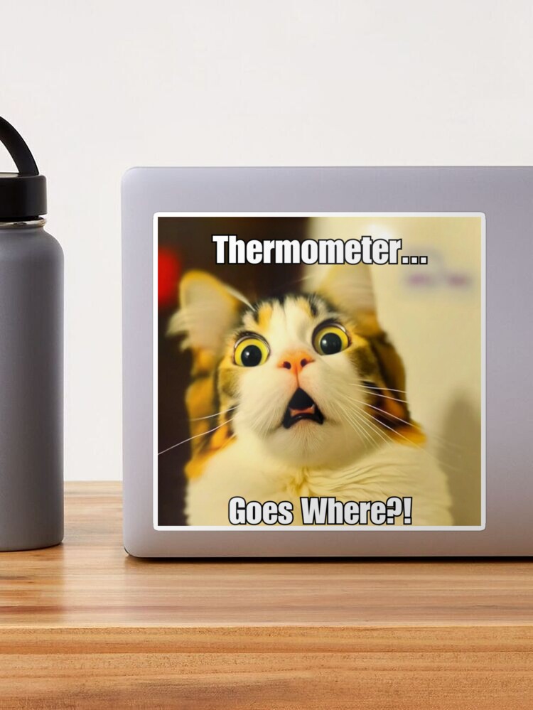 Thermometer Memes