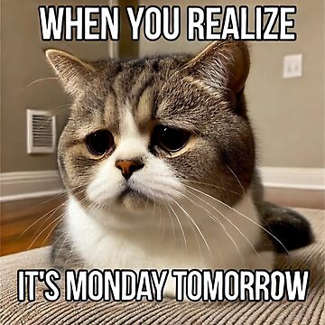 "When You Realize It's Monday Tomorrow - Funny Pathetic Cat Meme ...