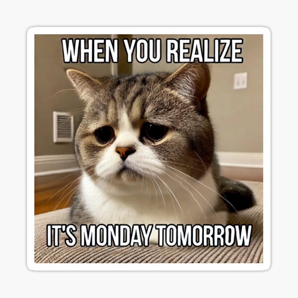 "When You Realize It's Monday Tomorrow - Funny Pathetic Cat Meme ...