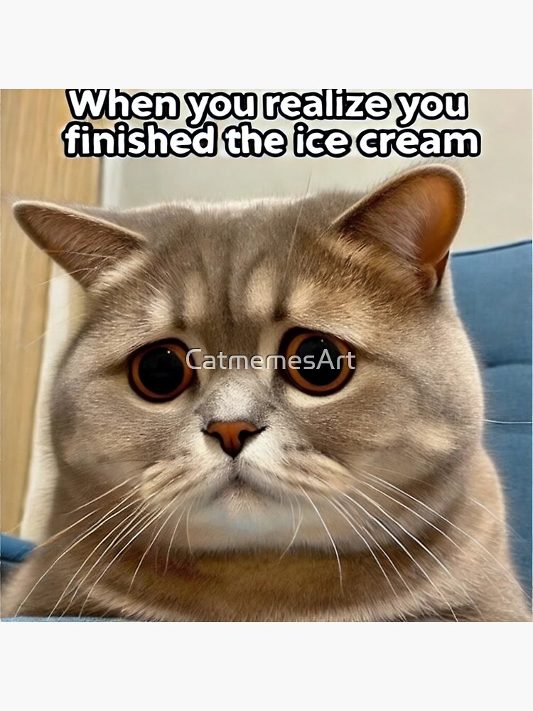 "When You Realize You Finished the Ice Cream - Funny Pathetic Cat Meme ...