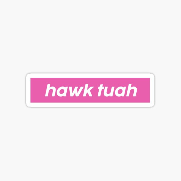 "HAWK TUAH AND SPIT ON THAT THANG" Sticker for Sale by Mindy Bubble ...