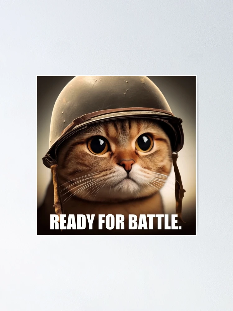 Combat Cat Memes