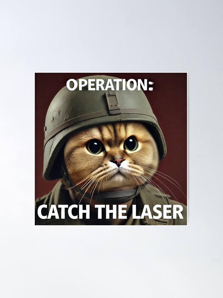 Laser Cat Kid Memes