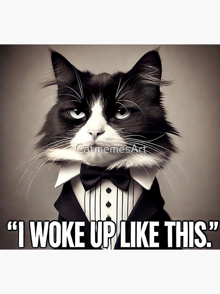 I Woke Up Like This Animal Meme