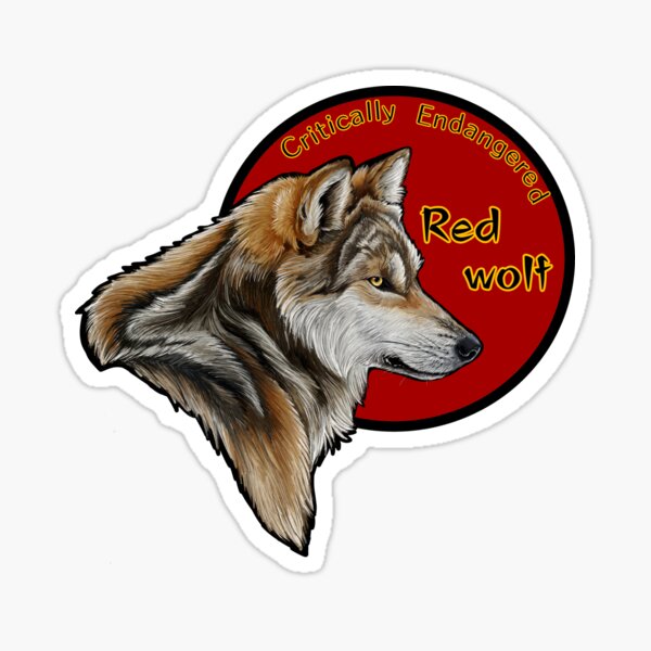 "Critically endangered red wolf (Canis rufus)" Sticker by dragongirl222 ...