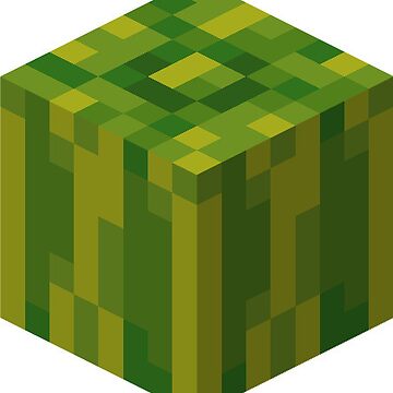 "Melon Minecraft Block Icon" Sticker for Sale by BurgerBites | Redbubble