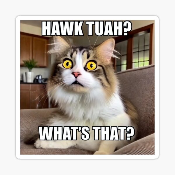 "Hawk Tuah Meme Cat - What's That?" Sticker for Sale by CatmemesArt ...