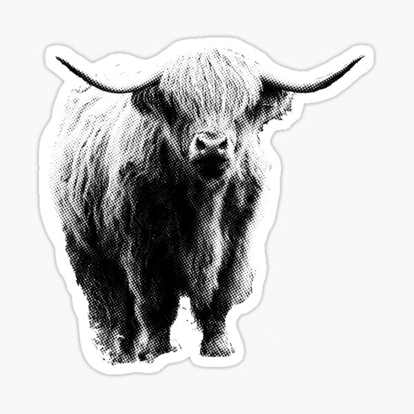 "Newspaper Print Style Highland Coo" Sticker for Sale by KimDebling ...