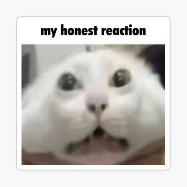 "my honest reaction" Sticker for Sale by InaneCat | Redbubble