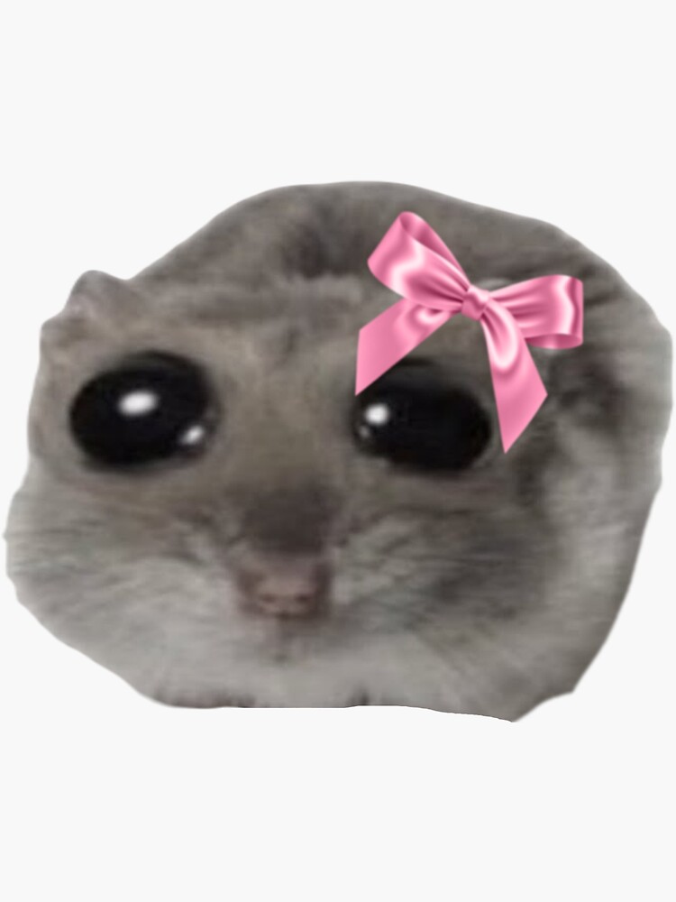 "Sad hamster wearing bow " Sticker for Sale by SillyLittleSnek | Redbubble