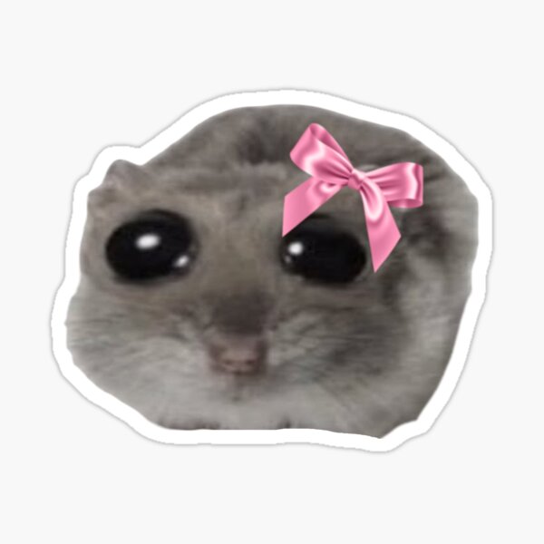 "Sad hamster wearing bow " Sticker for Sale by SillyLittleSnek | Redbubble