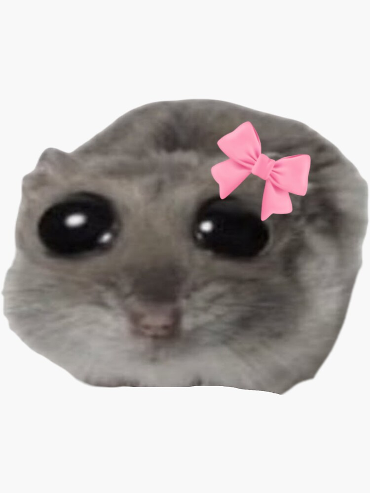 "Sad hamster wearing coquette bow " Sticker for Sale by SillyLittleSnek ...