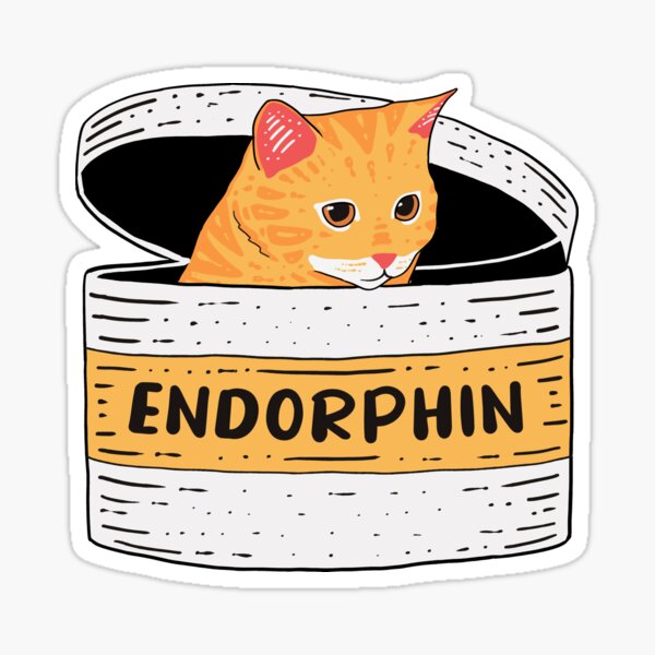 "Endorphin Cat - Orange" Sticker for Sale by SugarSweet11 | Redbubble