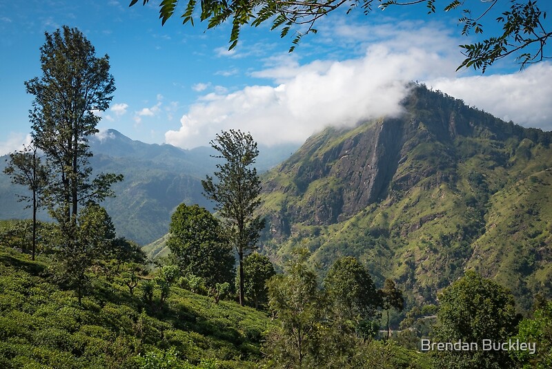 "The Valley of Ella" by Brendan Buckley | Redbubble