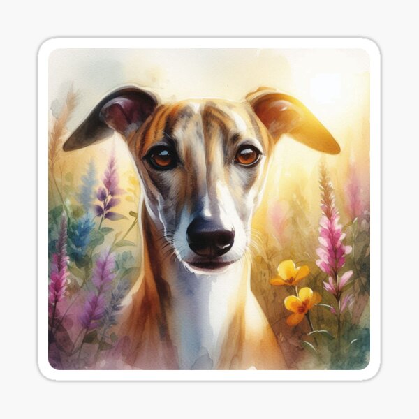 "Whippet Portrait" Sticker for Sale by HWCanada | Redbubble