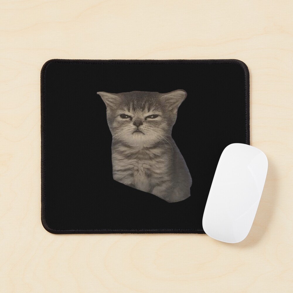"sulky mad sad cat meme " Sticker for Sale by maries-shopz | Redbubble