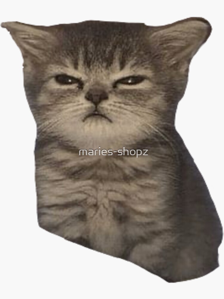 "sulky mad sad cat meme " Sticker for Sale by maries-shopz | Redbubble