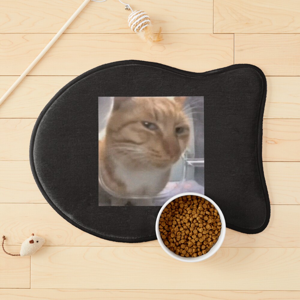 "Cat Meme" Sticker for Sale by FeeK10 | Redbubble