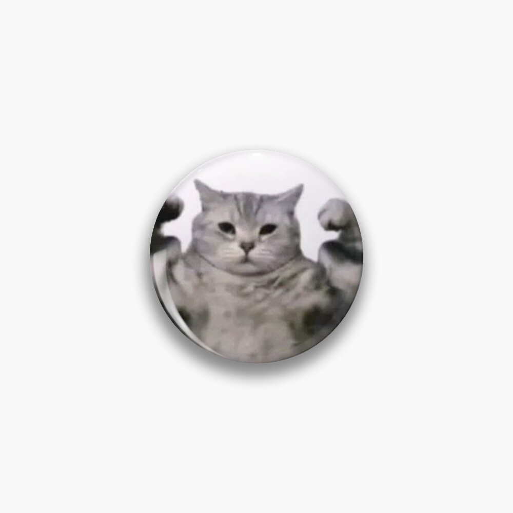 "Muscle cat meme cute" Sticker for Sale by FeeK10 | Redbubble