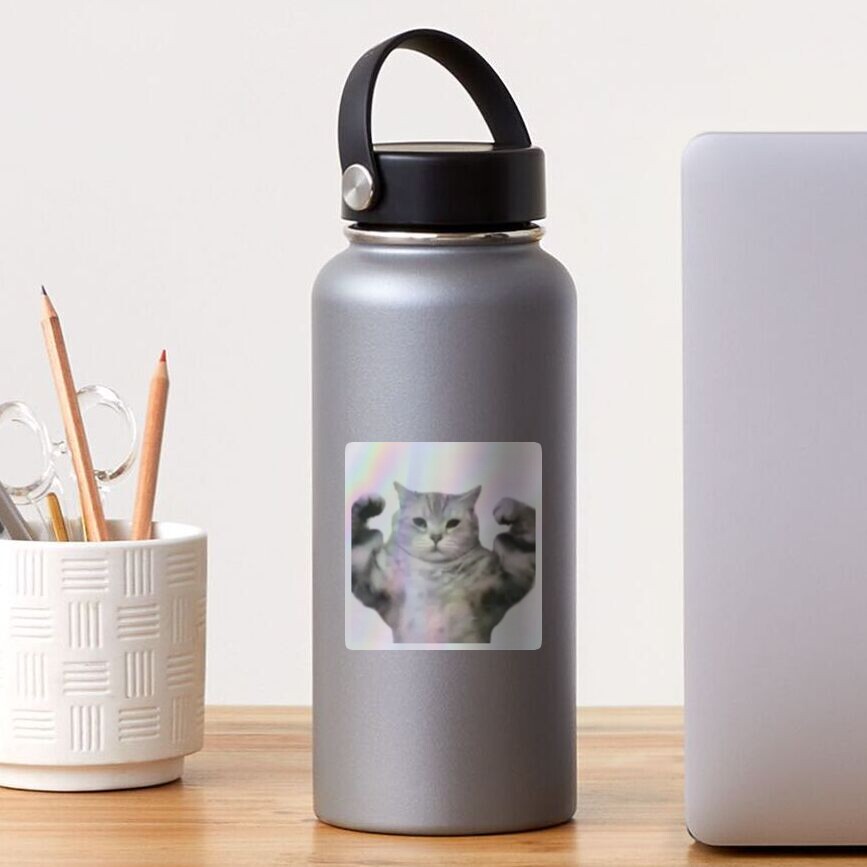 "Muscle cat meme cute" Sticker for Sale by FeeK10 | Redbubble
