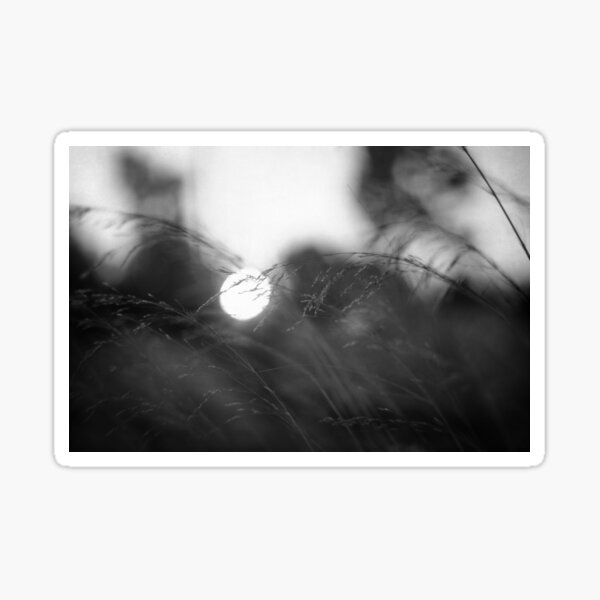 "Anesthesia" Sticker by innasoyturk | Redbubble