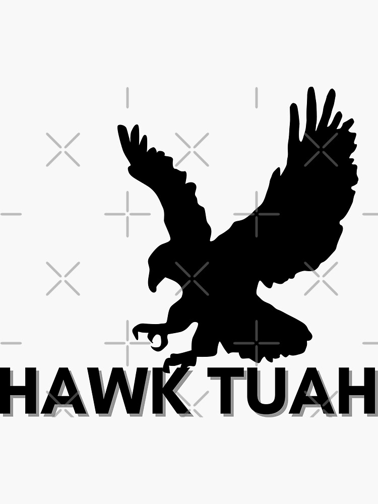 "Hawk Tuah" Sticker for Sale by Ravindu1997 | Redbubble