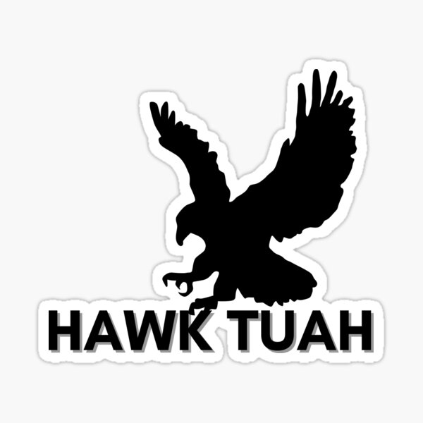 "Hawk Tuah" Sticker for Sale by Ravindu1997 | Redbubble