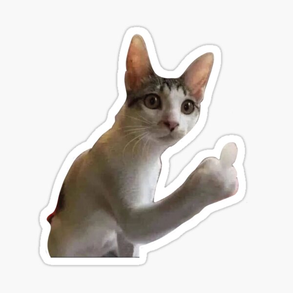 "Middle Finger Cat" Sticker for Sale by Artposeit | Redbubble