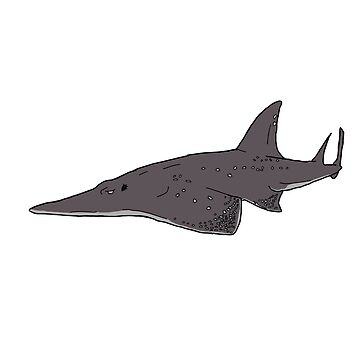 "Bottlenose Wedgefish (Endangered Series)" Sticker for Sale by ...
