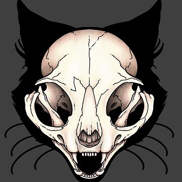 "Vulture Culture Black Cat Skull Skullcat Witchcraft Memento Mori ...