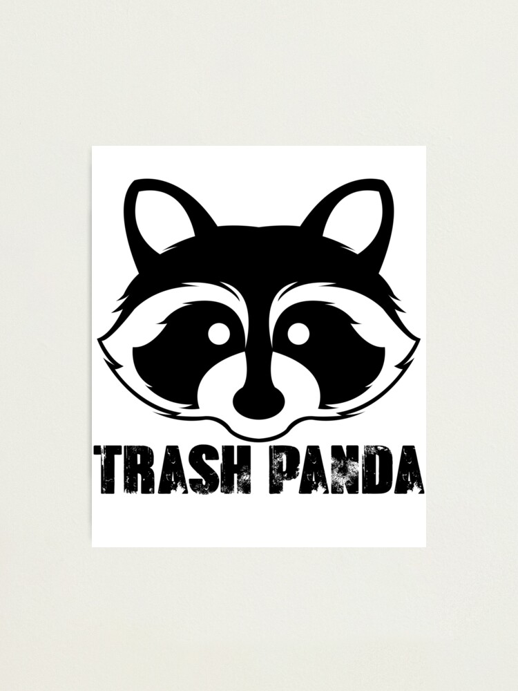 "Cute Trash Panda Raccoon Pandacoon Panda Raccoon Lovers My Spirit ...