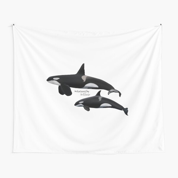 "Orca male and female " Tapestry for Sale by idaeriksson | Redbubble