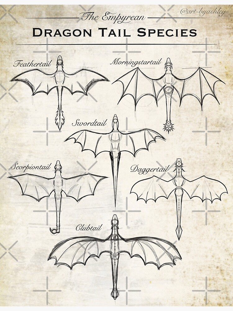 "The Empyrean - Fourth Wing Dragons - Tail Species Poster " Poster for ...