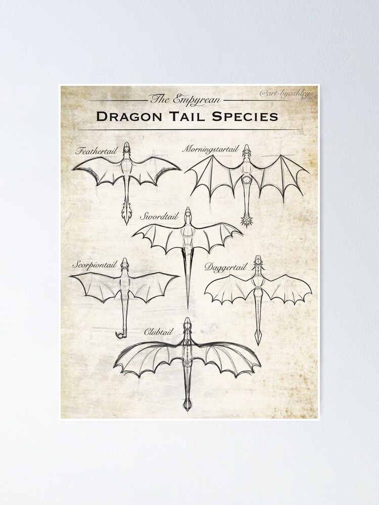 "The Empyrean - Fourth Wing Dragons - Tail Species Poster " Poster for ...