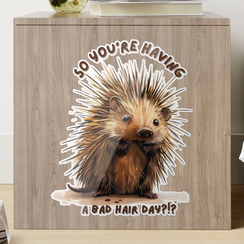 Porcupine Hair Memes Pissed Off Porcupines Prickling Pooches In