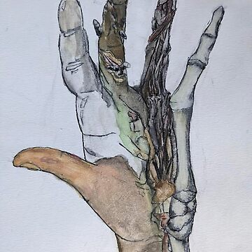 "The Five Stages of Decay (only the hand)" Poster for Sale by JHQuantum ...