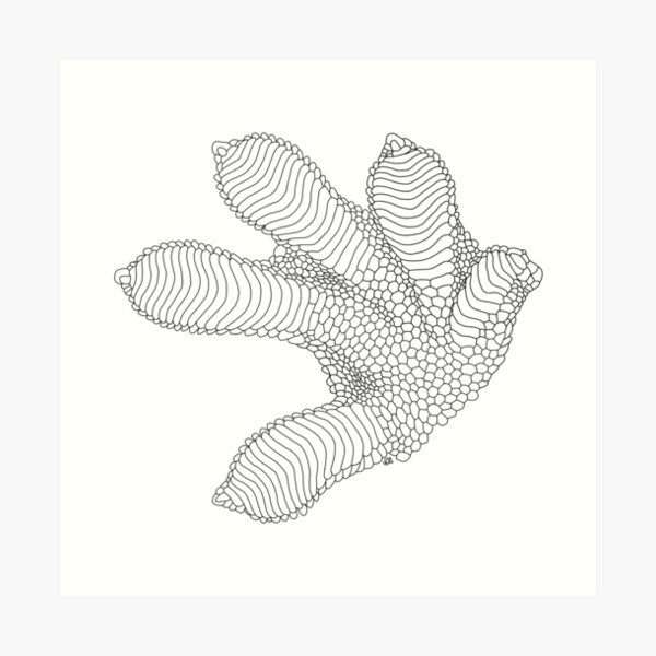 "Crested Gecko Footprint" Art Print by Shelbyygarris | Redbubble