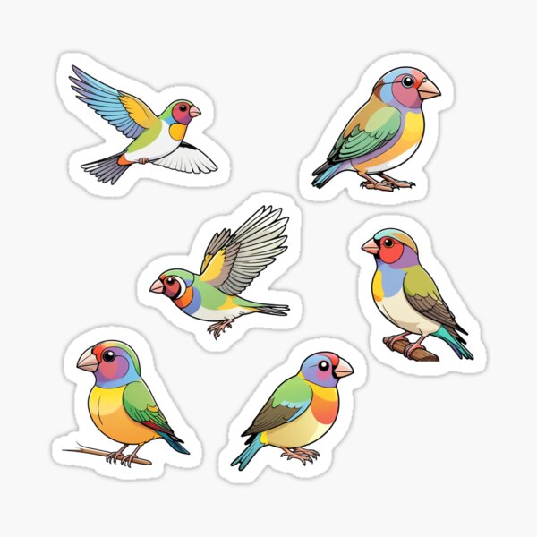 "Gouldian Finches" Sticker for Sale by TheAnimalZ00 | Redbubble