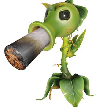 "plants vs zombies peashooter smoking large blunt" Sticker for Sale by ...
