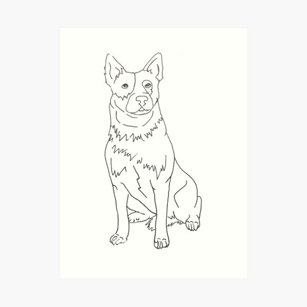 "Australian Kelpie" Art Print for Sale by BlueKirk | Redbubble